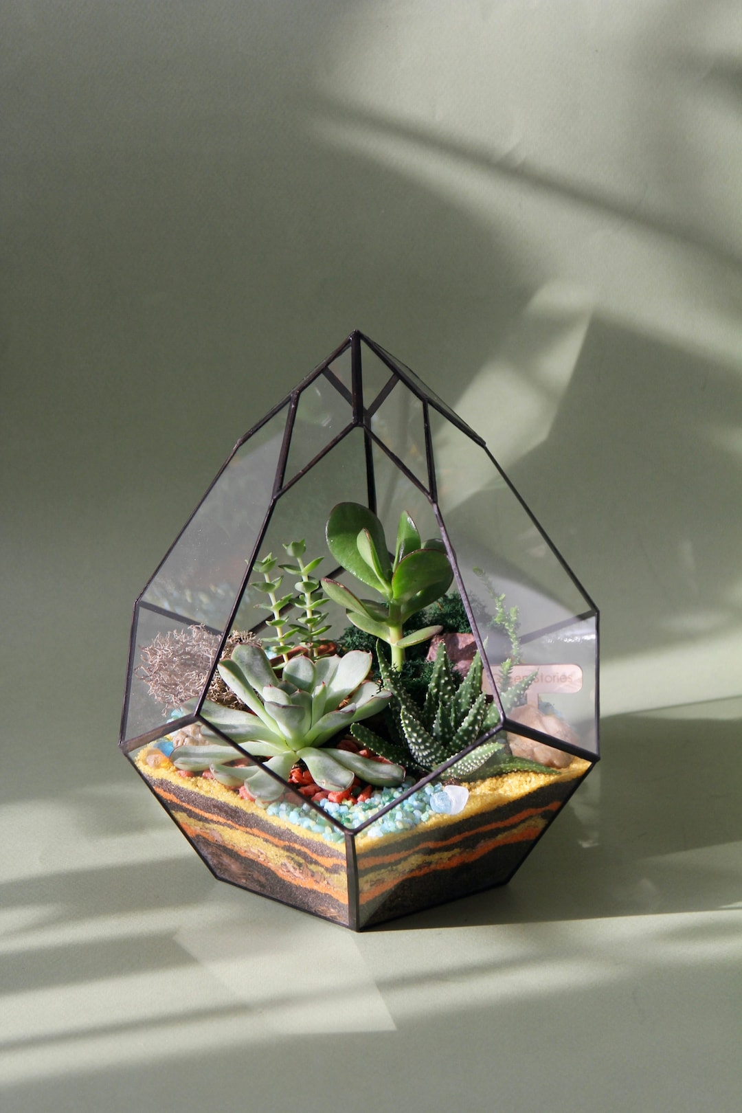 Geometric Glass Terrarium flower Bud Succulent Florarium. New Home Gift ...