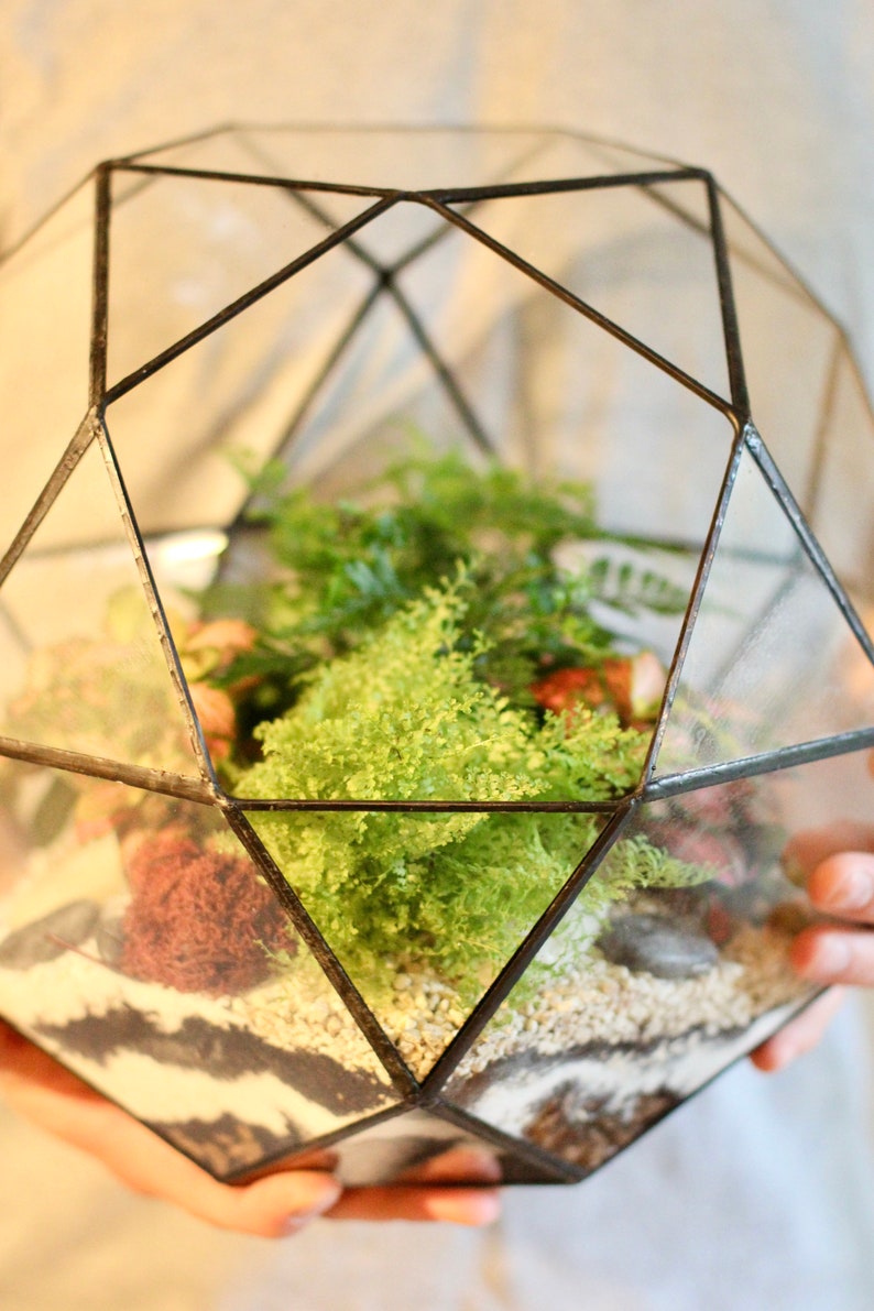 Succulent Glass Terrarium Florarium mars Home - Etsy