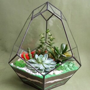 Geometric Glass Terrarium flower Bud Succulent Florarium. New Home Gift ...