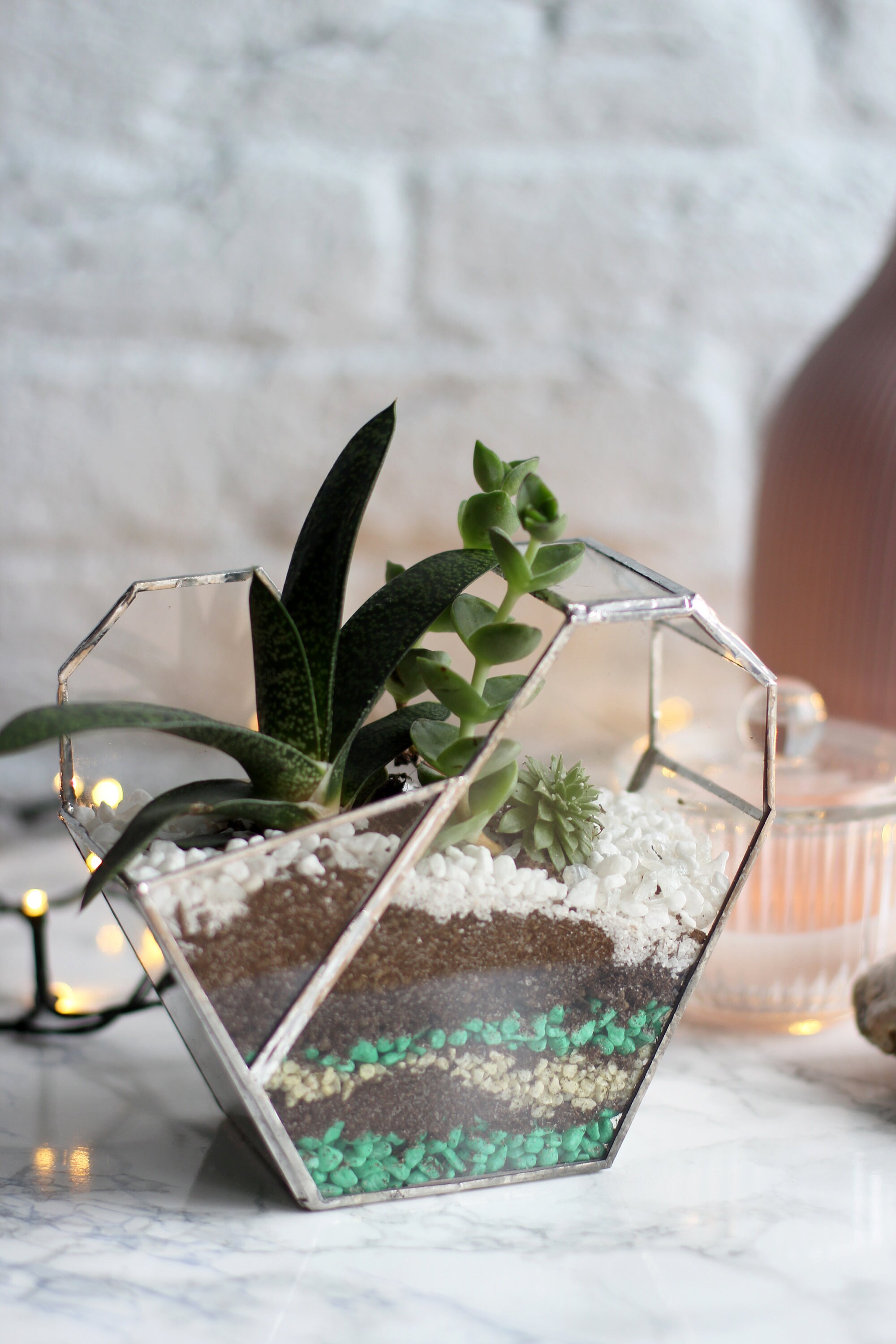 Geometric Glass Container Terrarium Florarium - Etsy