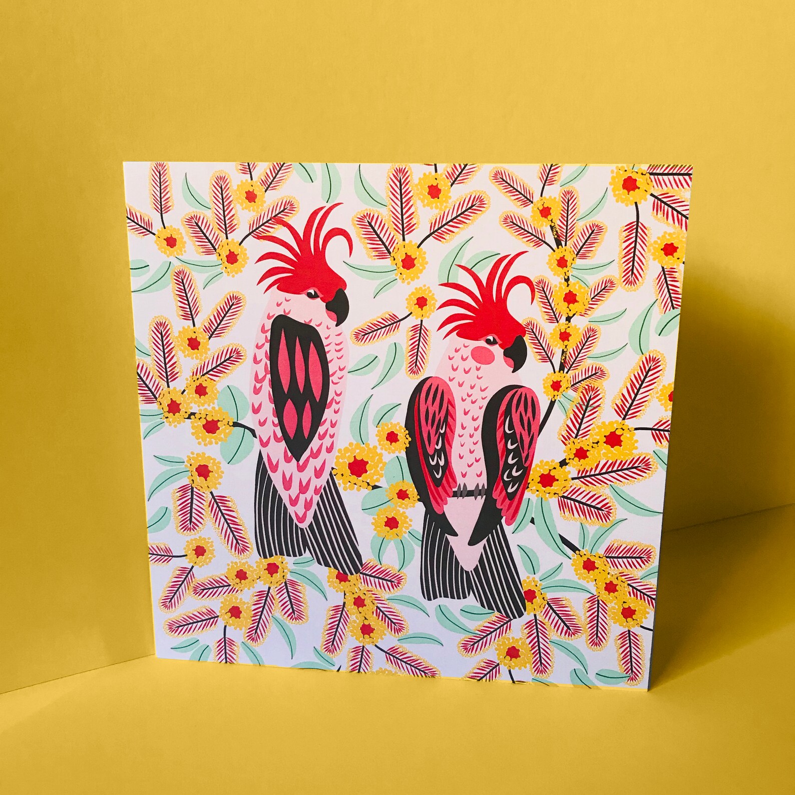 Australian Birds Greeting Cards Australian Greeting Cards | Etsy