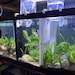 20 Gallon Long Aquarium Divider: 3D Printed Tank Separator - Etsy