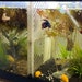 20 Gallon Long Aquarium Divider: 3D Printed Tank Separator - Etsy