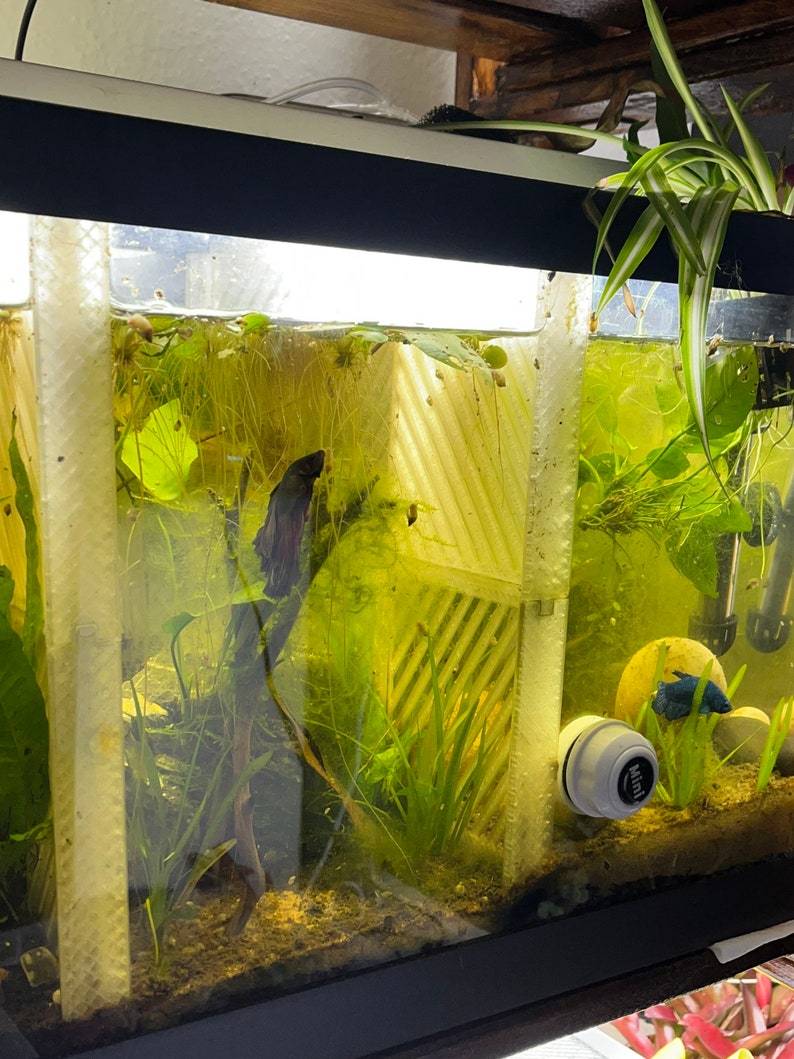 20 Gallon Long Aquarium Divider: 3D Printed Tank Separator - Etsy