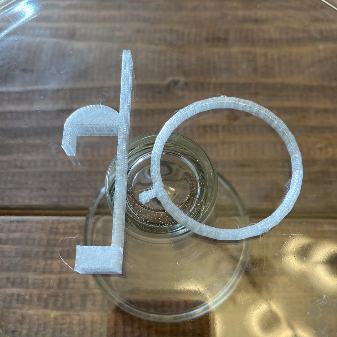 Adjustable Betta Hoop - Betta Olympics Training Beginner - Etsy