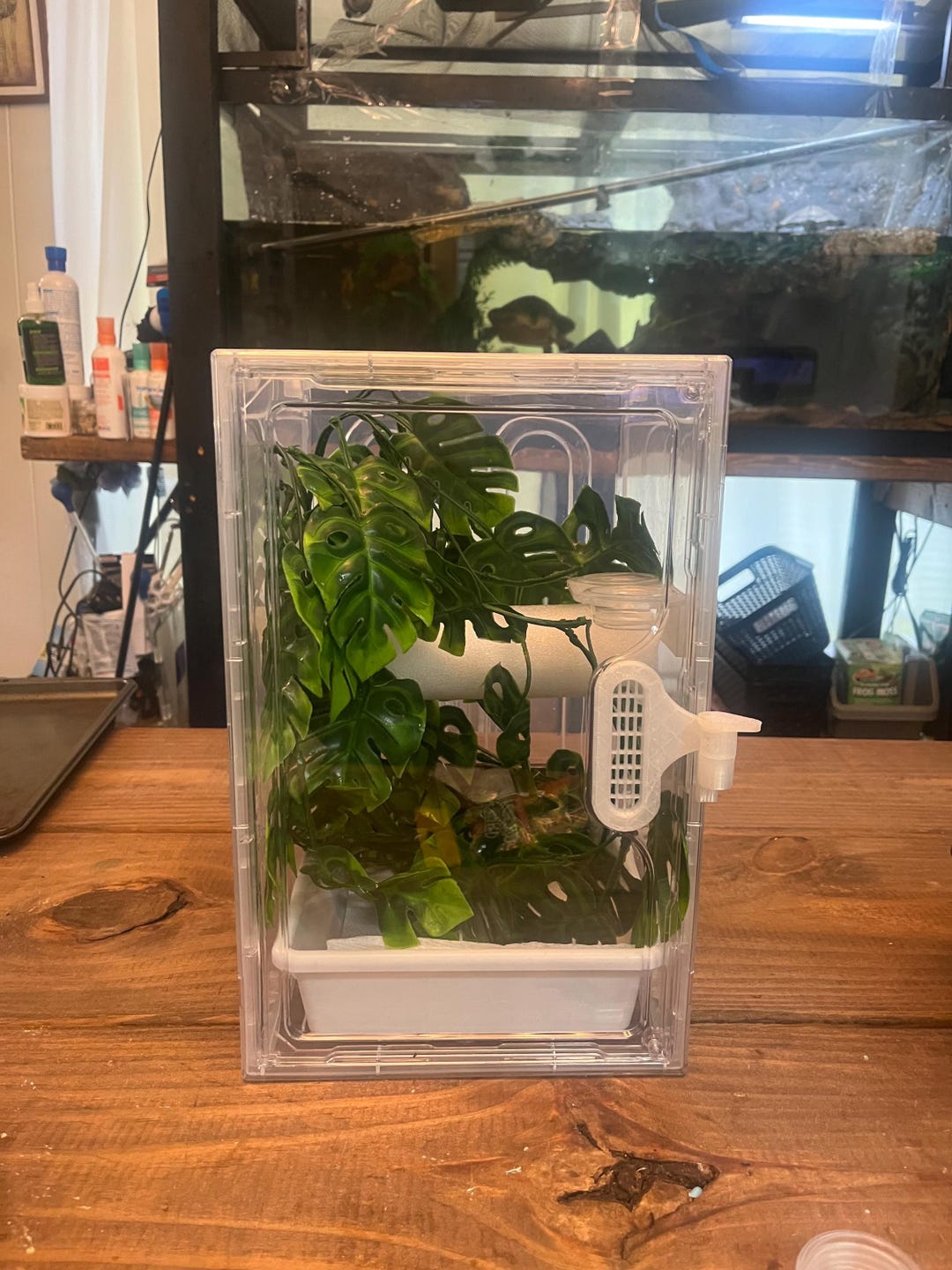 Arboreal Grow Out Enclosure for Raising Healthy Baby Animals - Small ...
