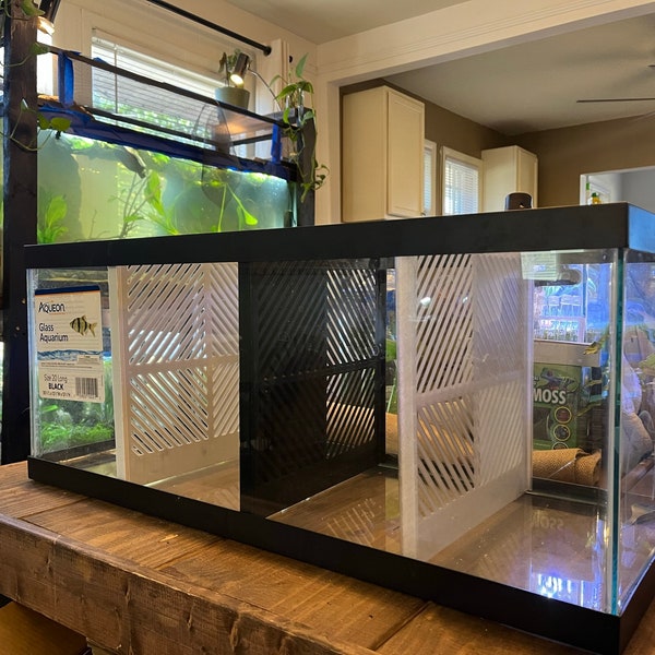 20 Gallon Terrarium - Etsy