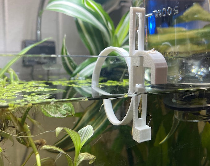 Adjustable Betta Hoop - Betta Olympics Training Beginner - Etsy