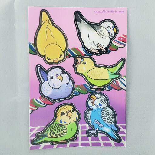 NEW Budgie Stickers - Etsy