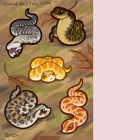 Hognose Snake Stickers | Etsy