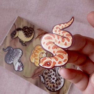 Hognose Snake Stickers - Etsy