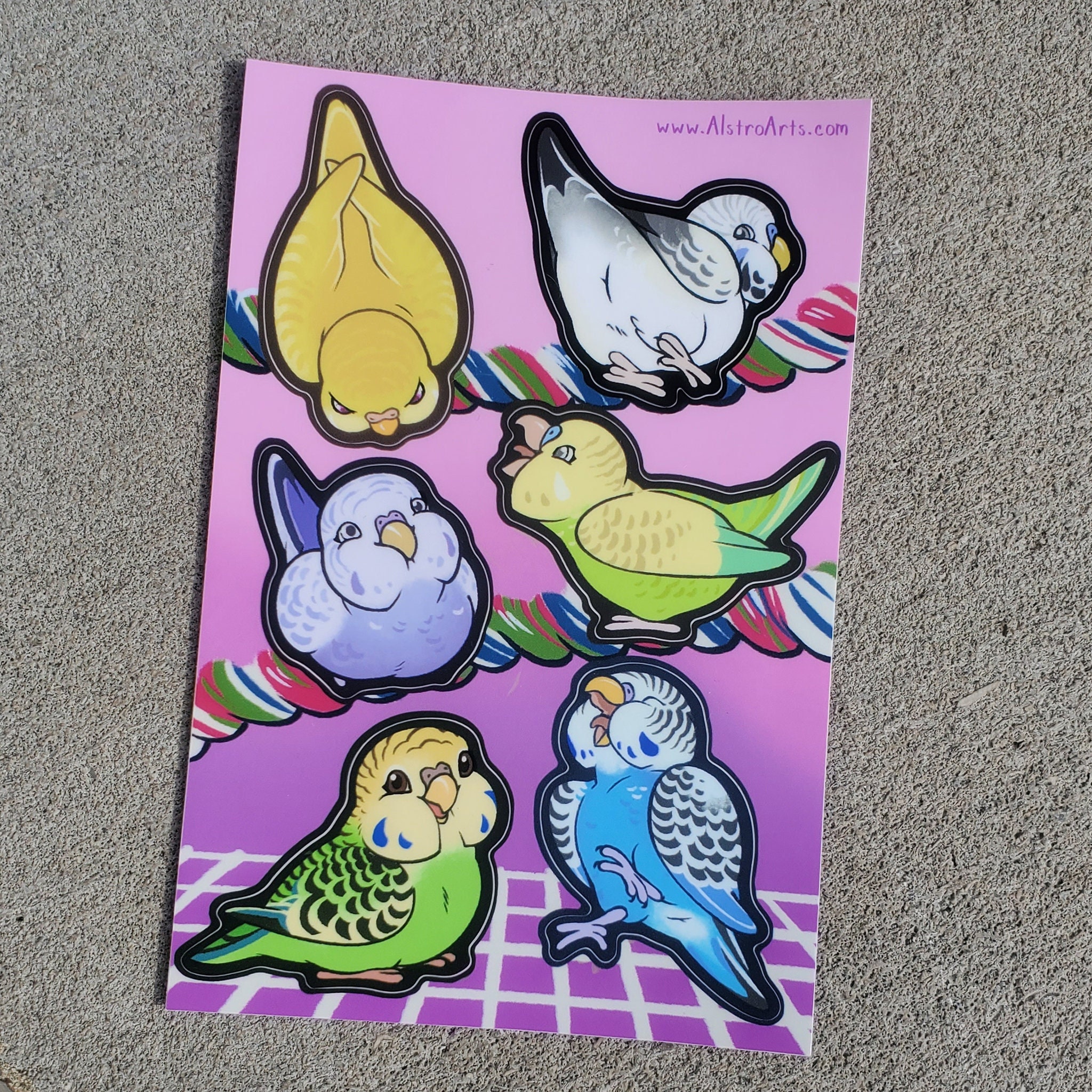 NEW Budgie Stickers | Etsy
