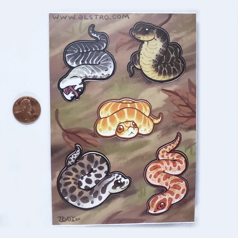 Hognose Snake Stickers | Etsy