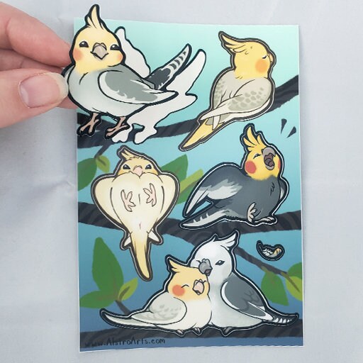 NEW Cockatiel Stickers - Etsy