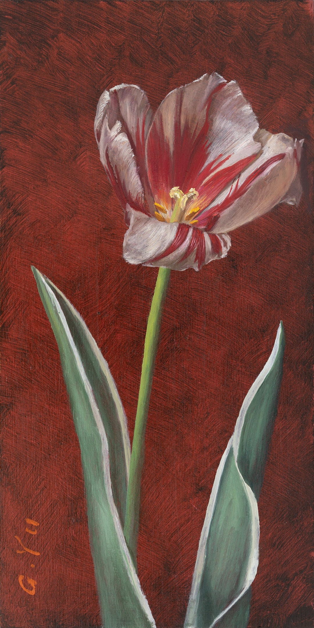 Original Tulip Oil Painting: Dutch Style Floral Art, 6x12, NOT A PRINT ...