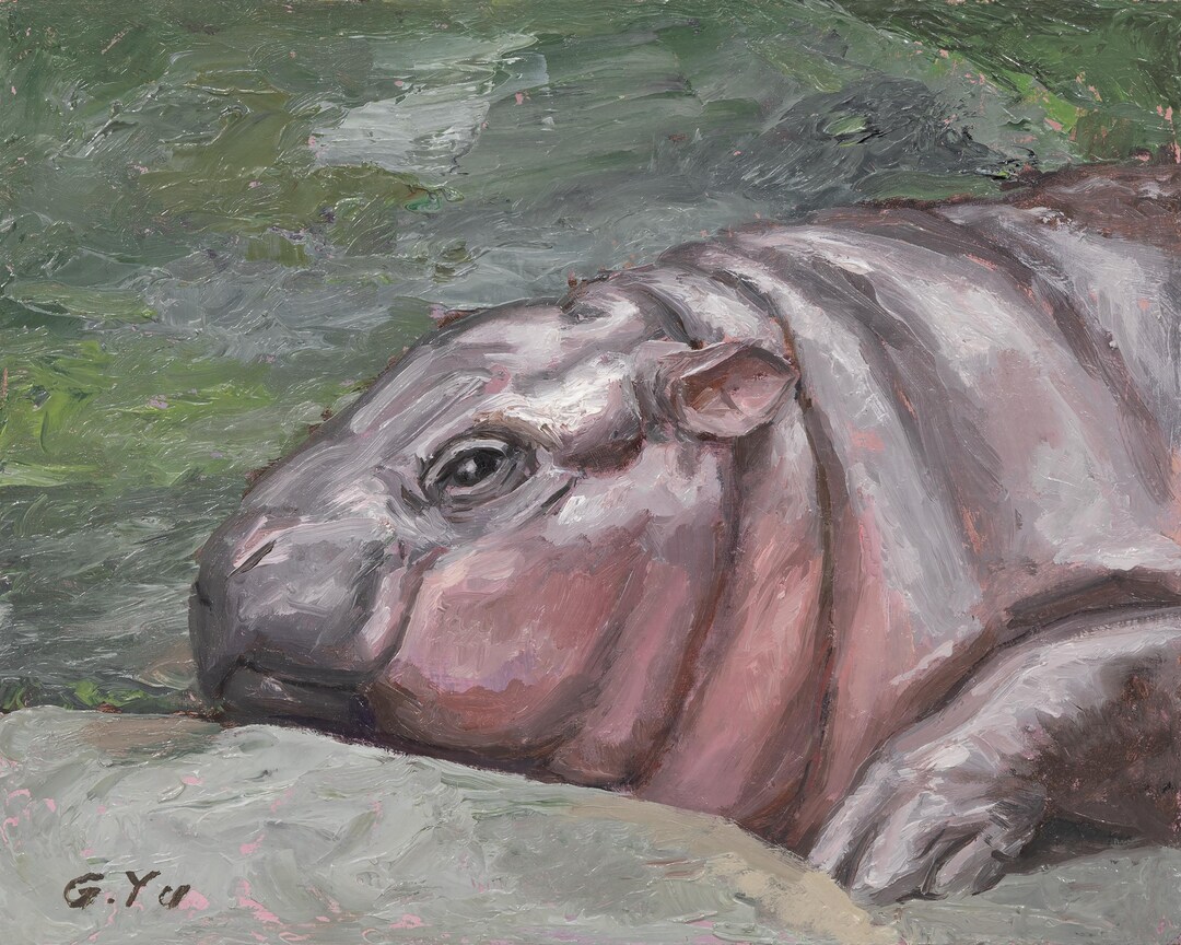 Original Hippo Oil Painting: Realistic Wildlife Art on Panel - Etsy