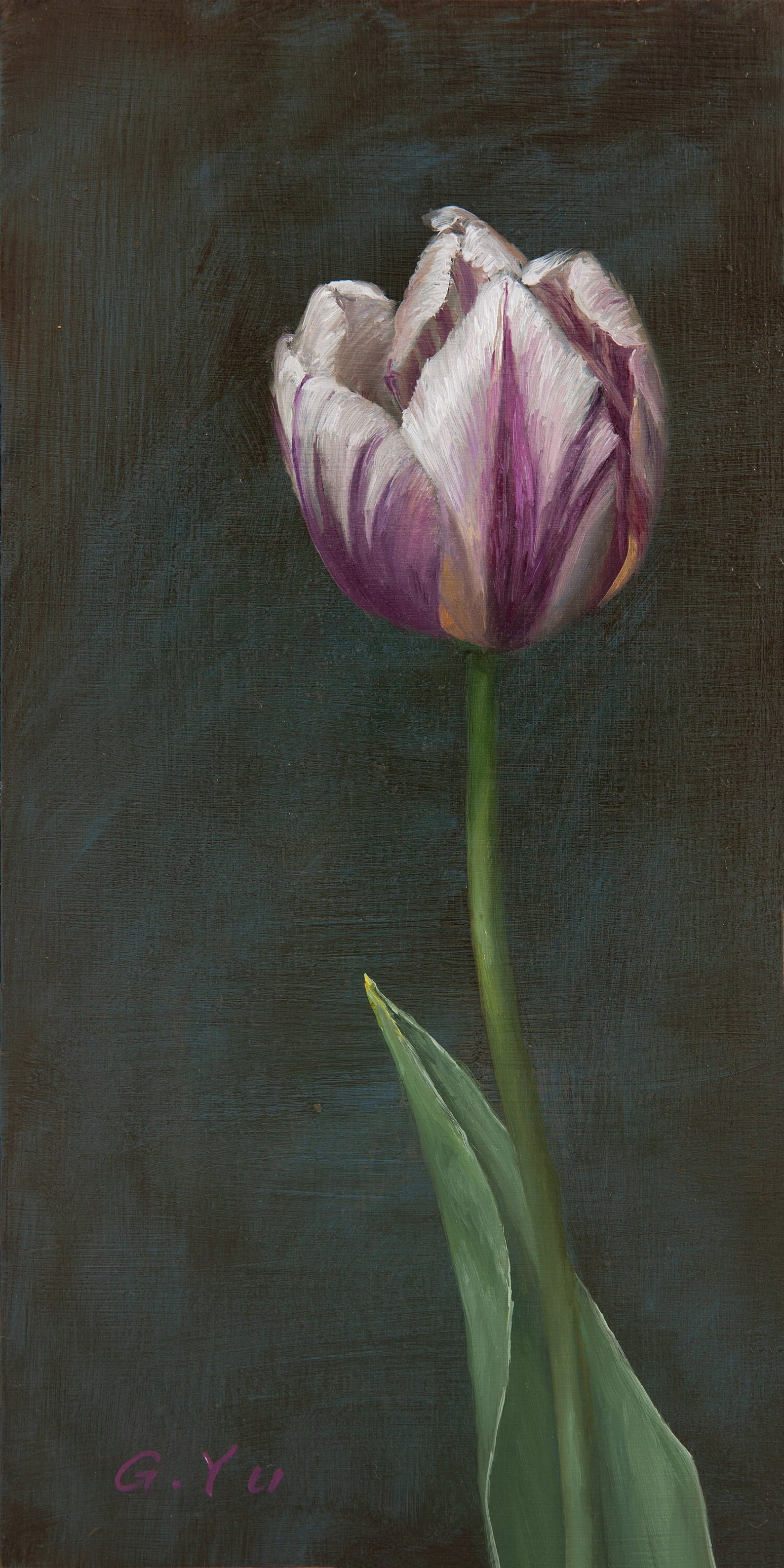 Original Tulip Oil Painting on Panel Realistic Purple Flame Tulip ...