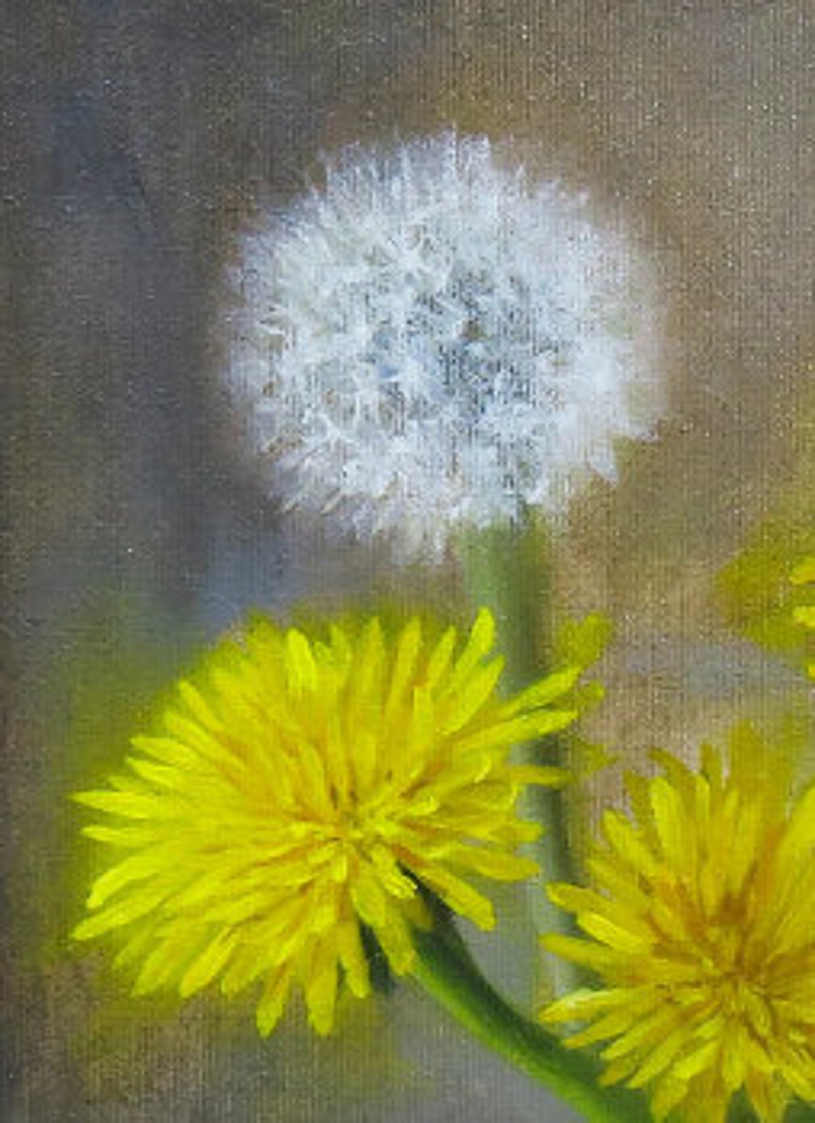 Dandelion Original Oil Painting on Canvas Flower Oil Painting on Canvas ...