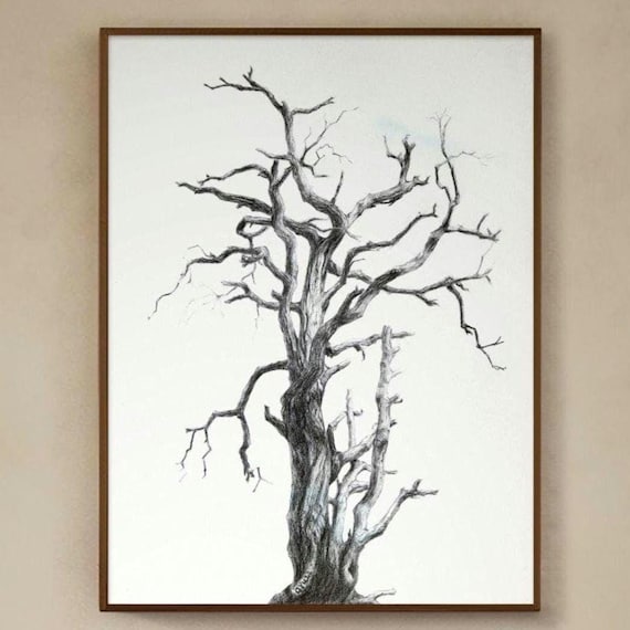 Tree Light Drawing