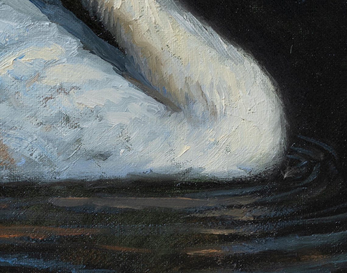 Original Swan Oil Painting on Canvas, White Swan Oil Painting, Wildlife ...