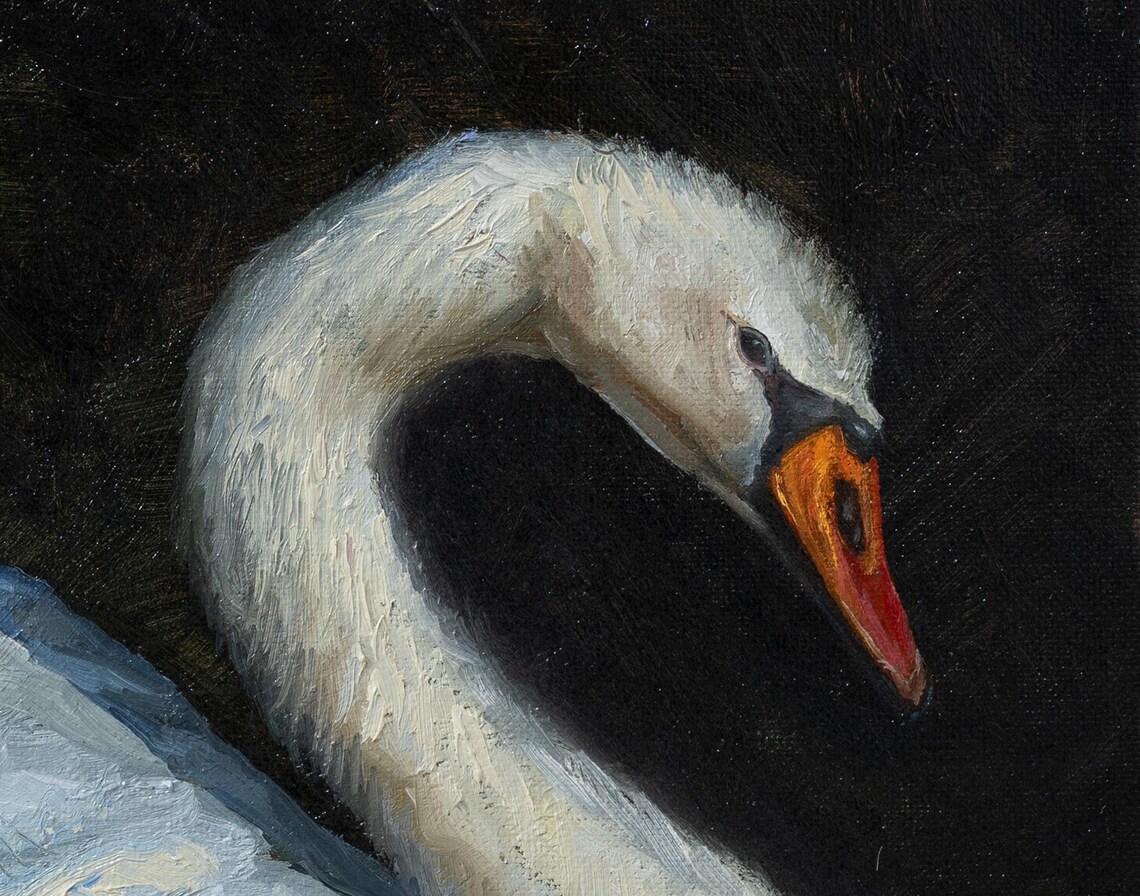 Original Swan Oil Painting on Canvas, White Swan Oil Painting, Wildlife ...