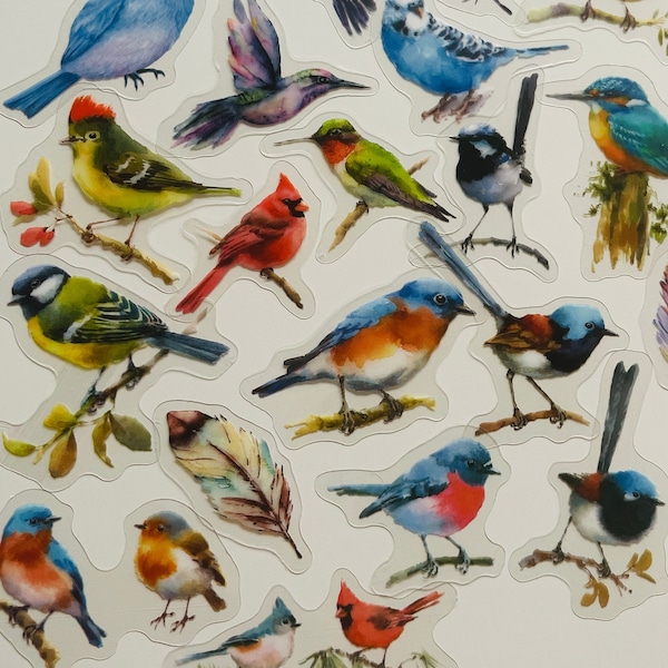 Bird Stickers - Etsy
