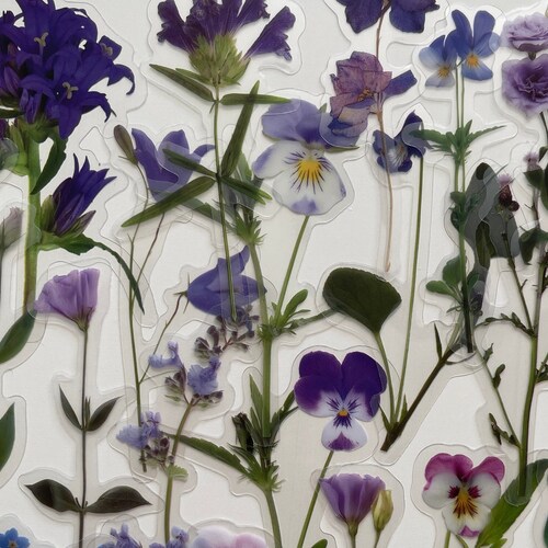 20 Vinyl Transparent Tulip Sticker Pack Waterproof Reusable - Etsy