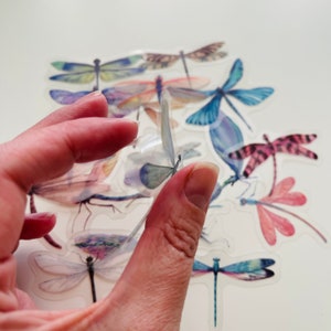 20 Vinyl Transparent Dragonfly Sticker Pack, Waterproof Reusable Set ...