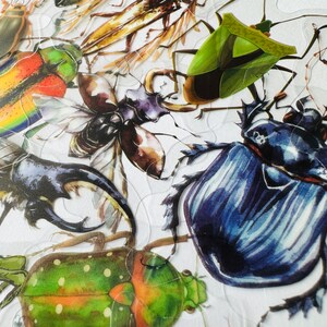 20 Vinyl Transparent Insect Stickers, Die Cut Decal Set, Clear ...