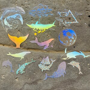 20 Vinyl Holographic Marine Sticker Pack, Waterproof Reusable Set ...
