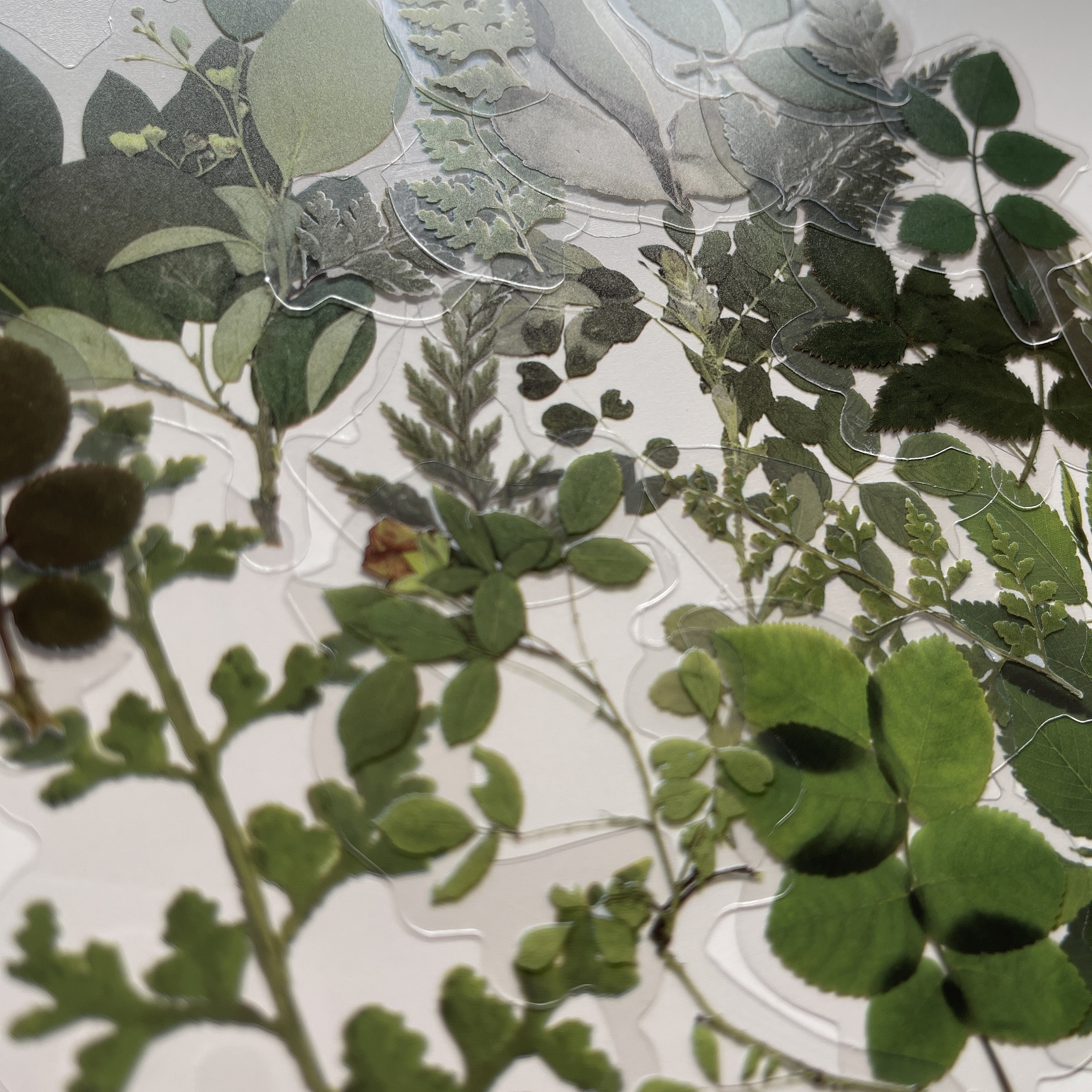 20 Vinyl Transparent Leaf Sticker Pack Waterproof Reusable - Etsy UK