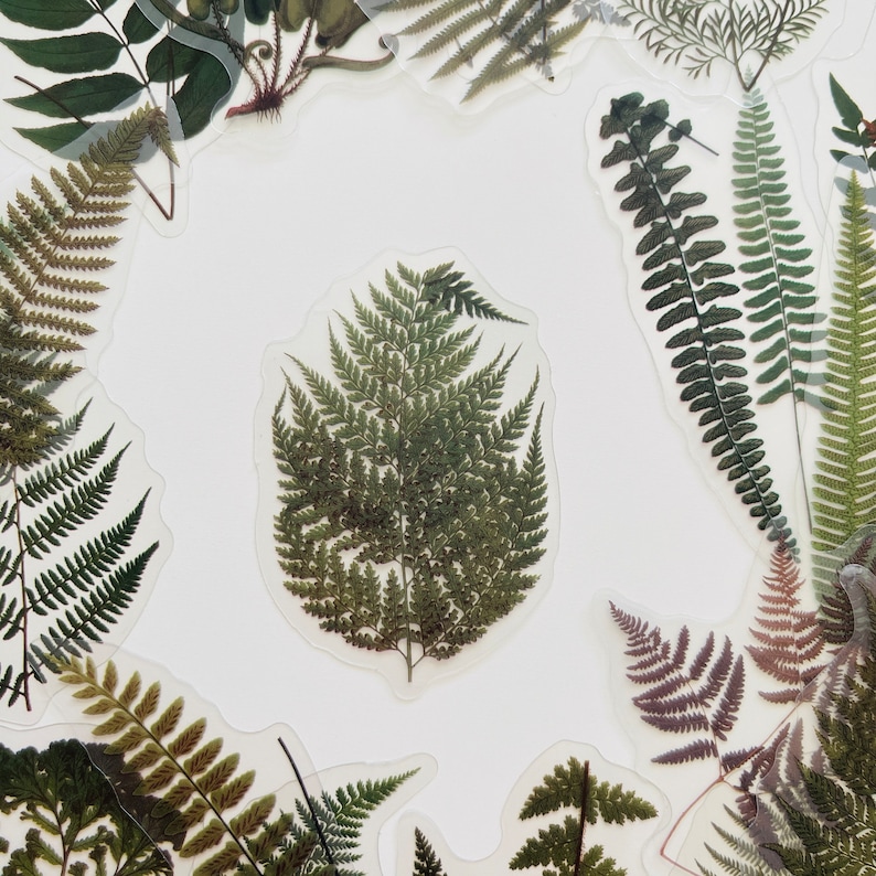 20 Vinyl Transparent Leaf Sticker Pack Waterproof Reusable - Etsy