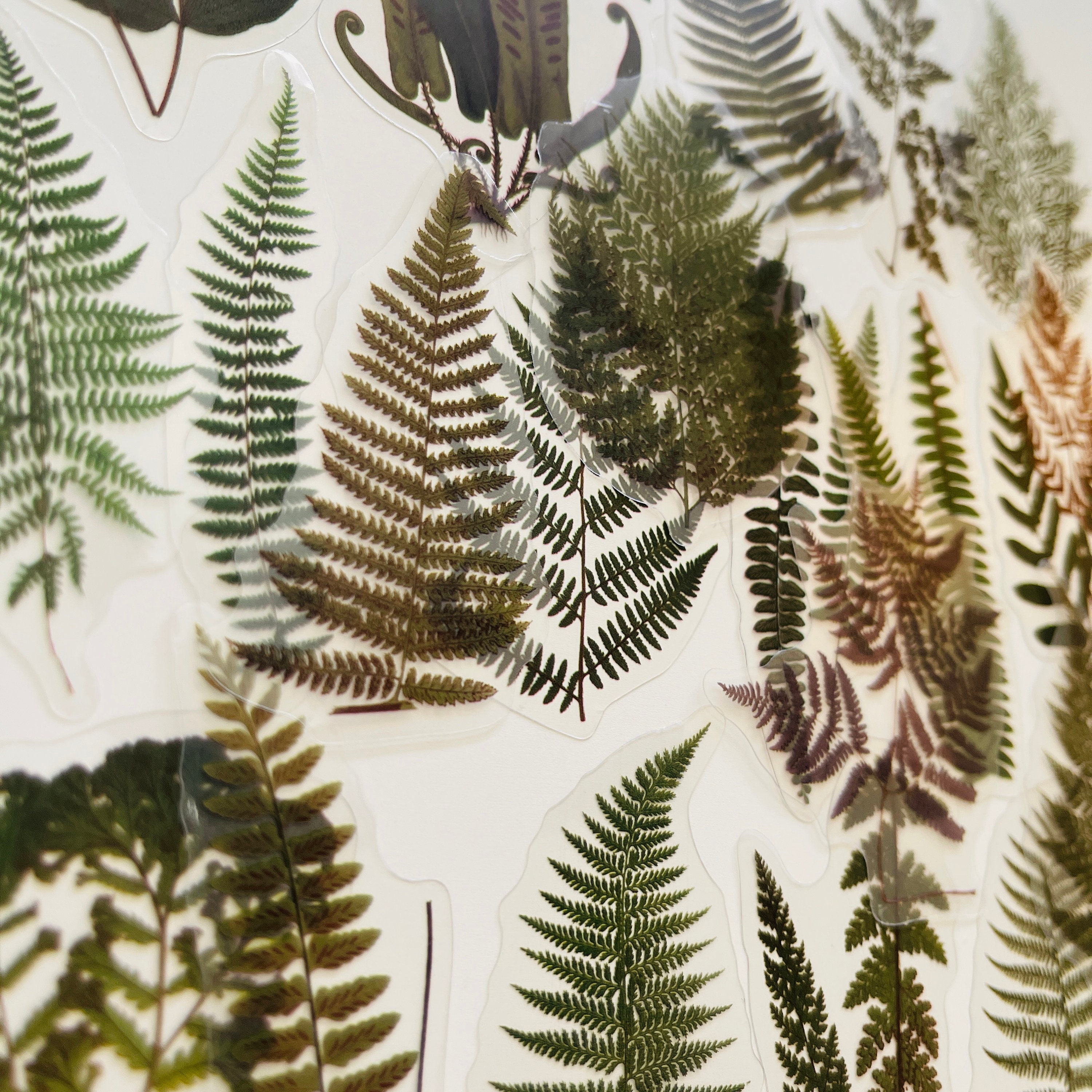 20 Vinyl Transparent Leaf Sticker Pack Waterproof Reusable - Etsy