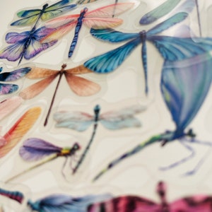 20 Vinyl Transparent Dragonfly Sticker Pack, Waterproof Reusable Set ...