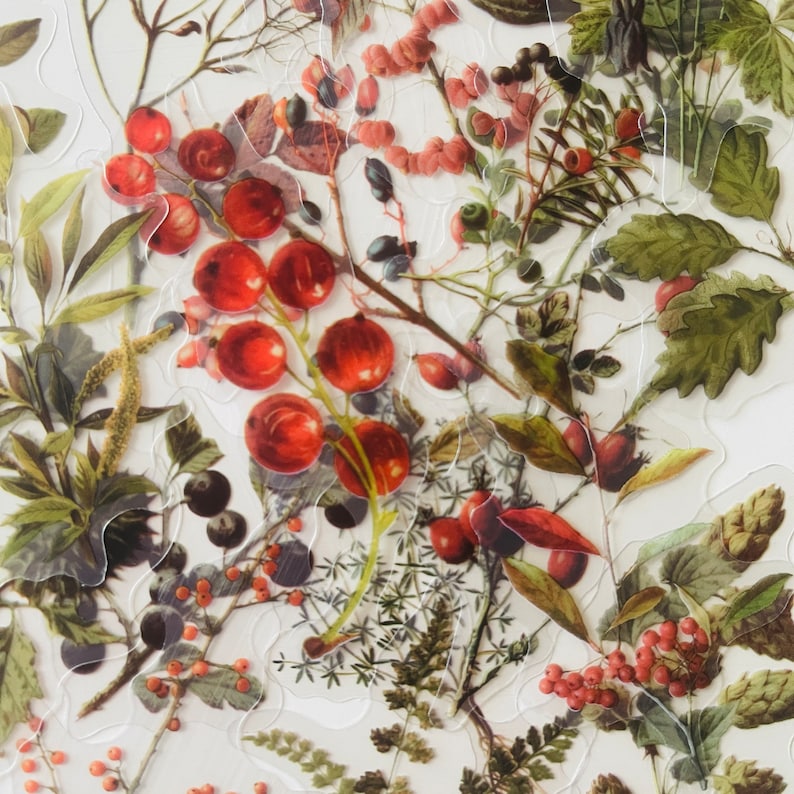 20 Vinyl Transparent Berry Sticker Pack Waterproof Reusable - Etsy