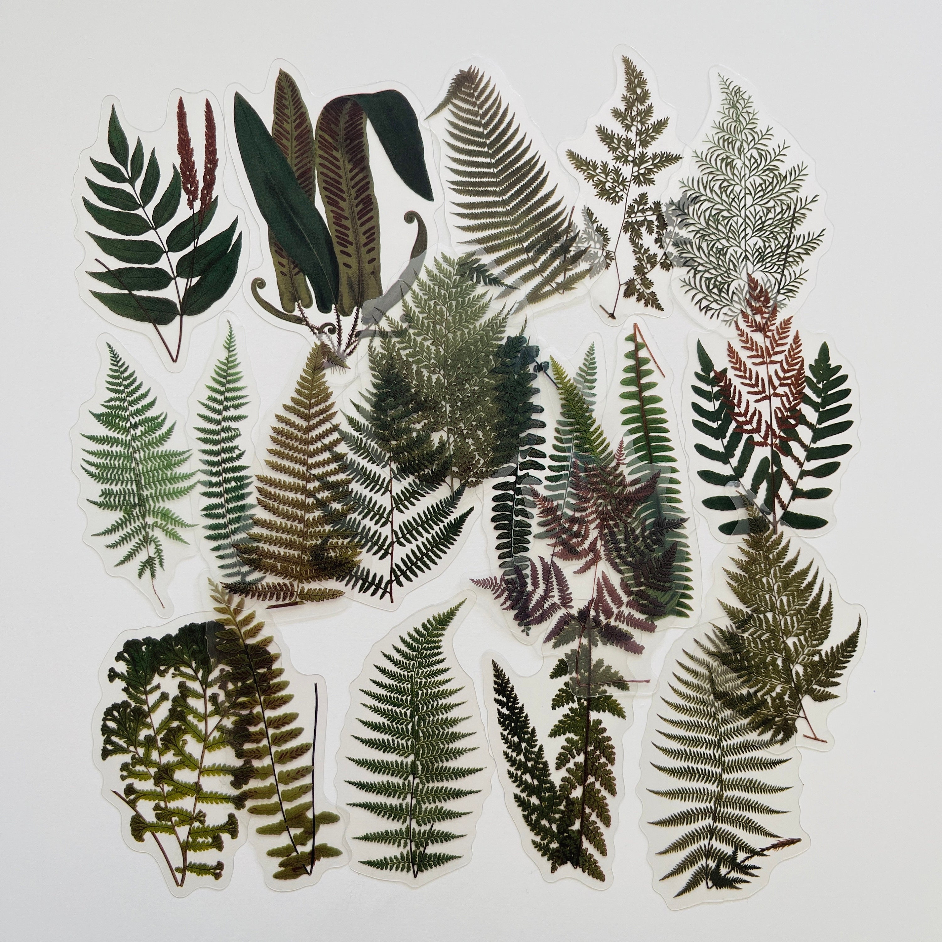 20 Vinyl Transparent Leaf Sticker Pack Waterproof Reusable - Etsy