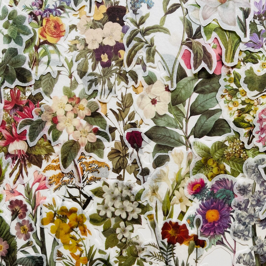 30 Wildflower Sticker Pack, Vintage Pressed Flower Floral Bouquet Stem ...