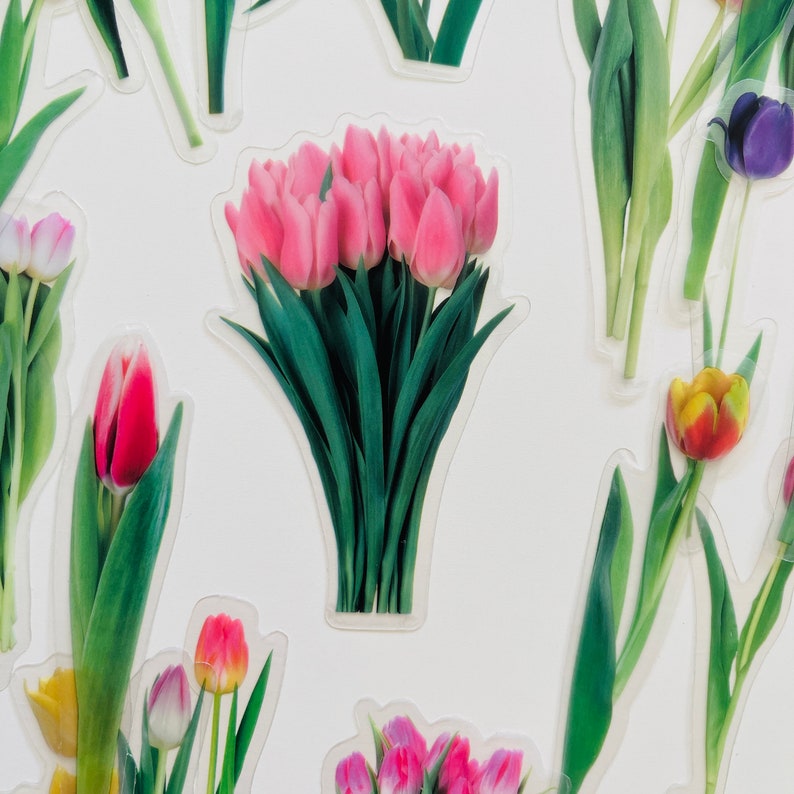 20 Vinyl Transparent Tulip Sticker Pack Waterproof Reusable - Etsy