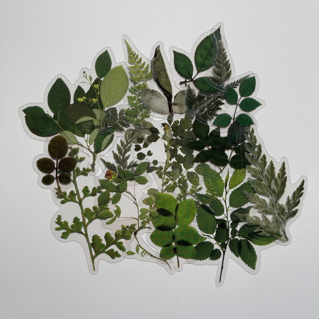 20 Vinyl Transparent Leaf Sticker Pack, Waterproof Reusable Set, Clear ...