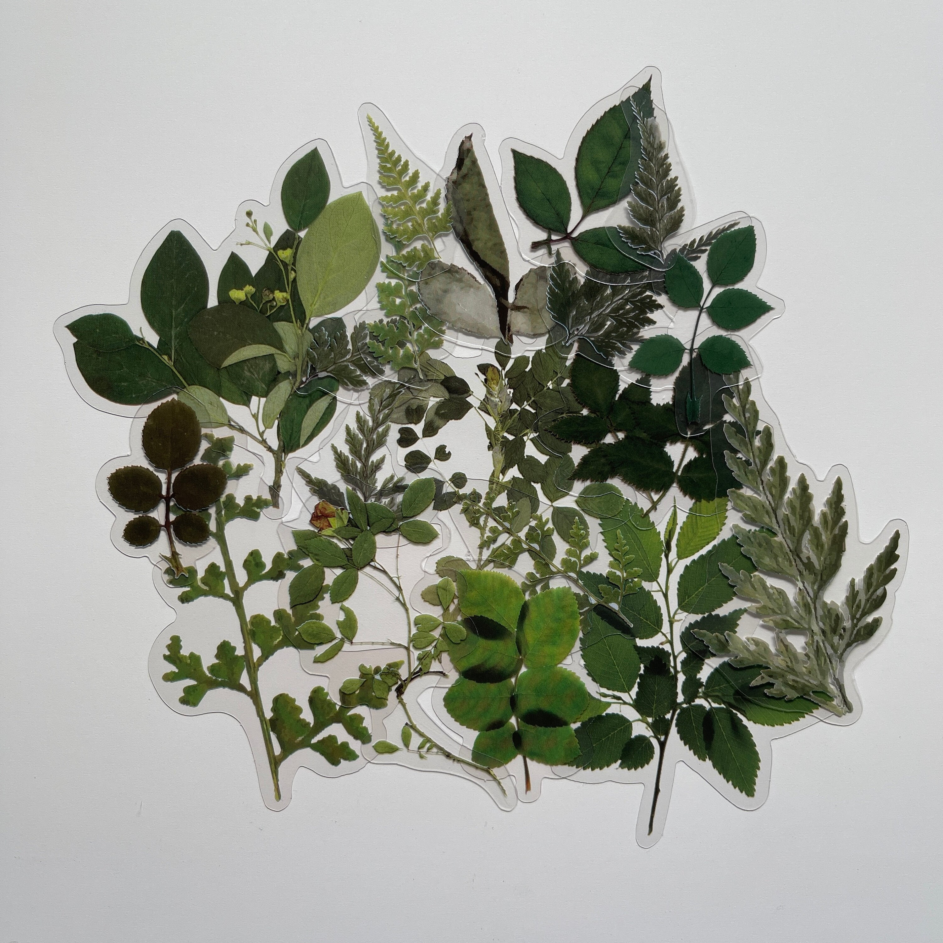 20 Vinyl Transparent Leaf Sticker Pack Waterproof Reusable - Etsy UK