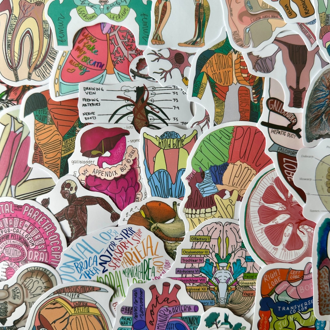 25/50 Vinyl Medical Stickers, Die Cut Decal Set Waterproof Reusable ...