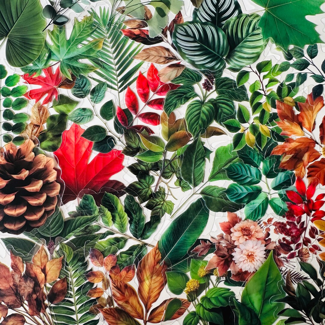 25/50 Vinyl Clear Leaf Sticker Pack, Waterproof Reusable Set, Leaves ...