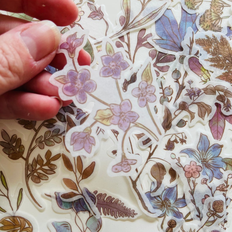 30 Opaque Flower Stem Sticker Pack, Vintage Wildflowers Floral Florist ...