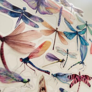 20 Vinyl Transparent Dragonfly Sticker Pack, Waterproof Reusable Set ...