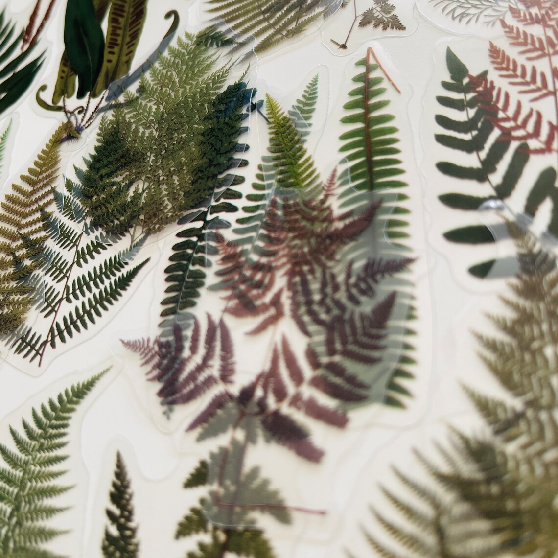 20 Vinyl Transparent Leaf Sticker Pack Waterproof Reusable - Etsy