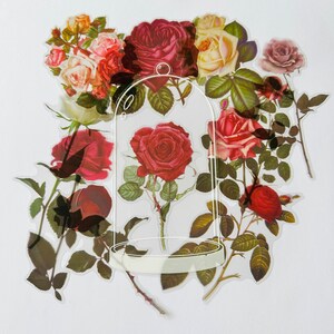 11 Vinyl Transparent Rose Sticker Pack, Waterproof Reusable, Clear ...