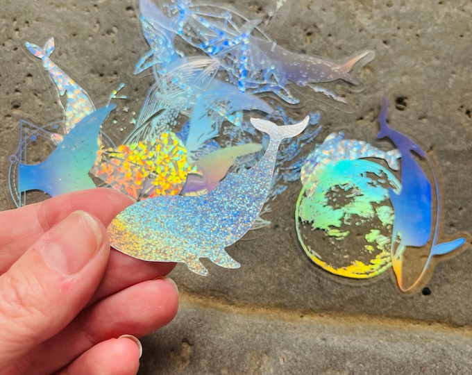 20 Vinyl Holographic Marine Sticker Pack, Waterproof Reusable Set ...