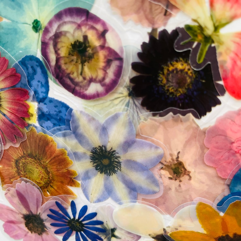 20 Vinyl Transparent Pressed Flower Sticker Pack, Waterproof Reusable ...