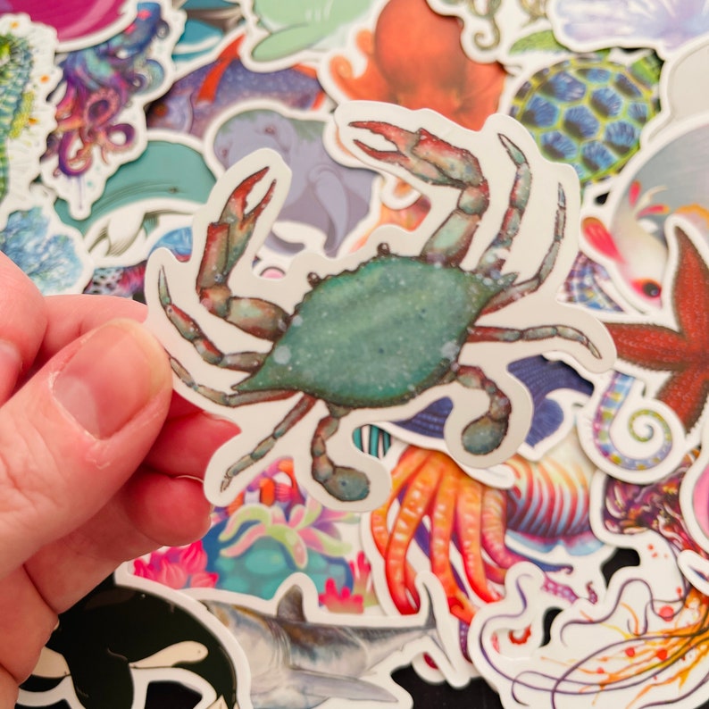 25/50 Vinyl Marine Life Stickers Die Cut Decal Set - Etsy UK