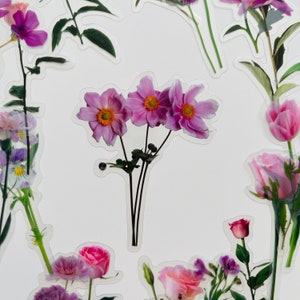 20 Vinyl Transparent Pink Flower Sticker Pack, Waterproof Reusable Set ...